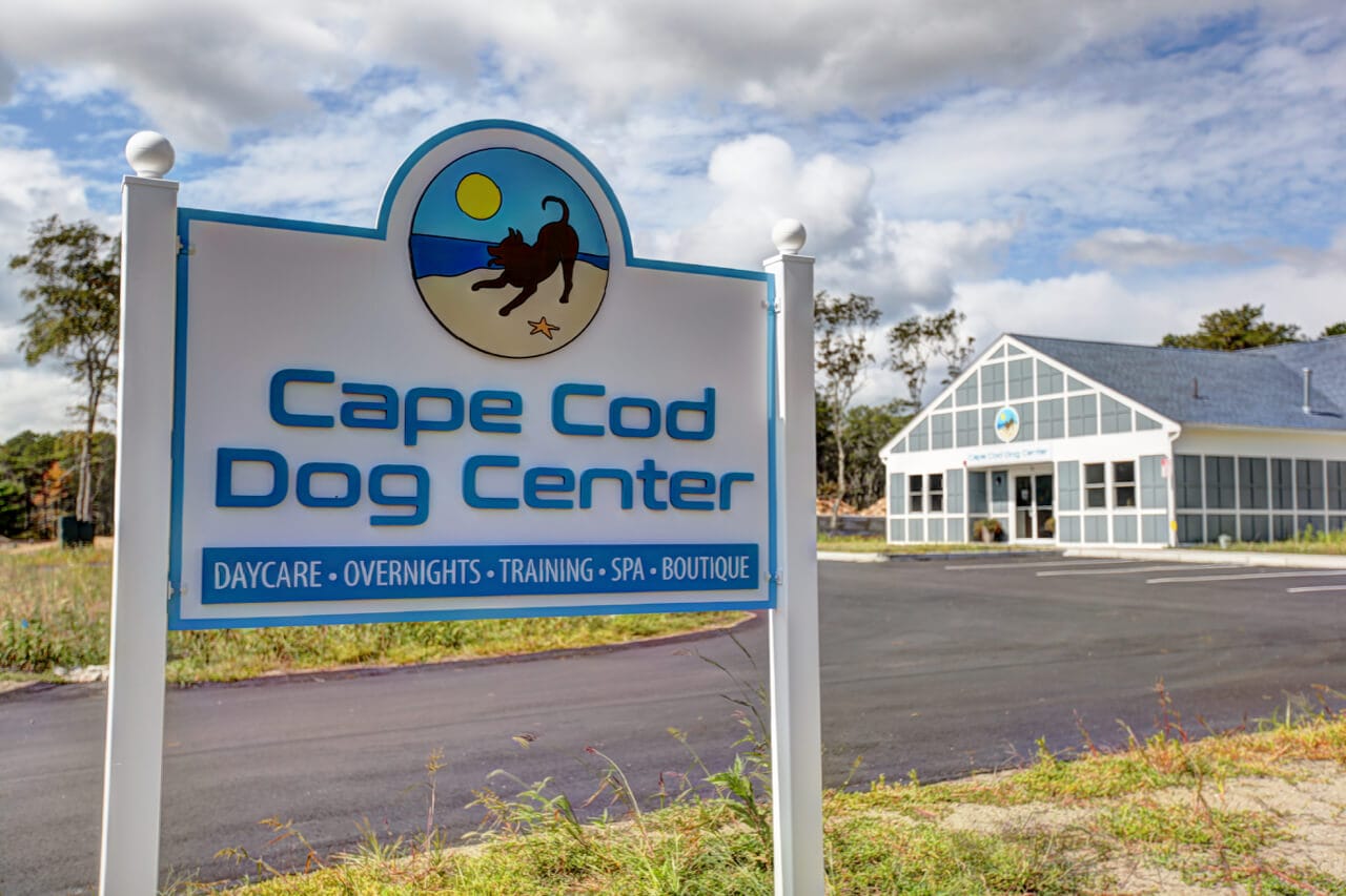 About Us | Cape Cod Dog Center - Your Trusted Pet Care Experts